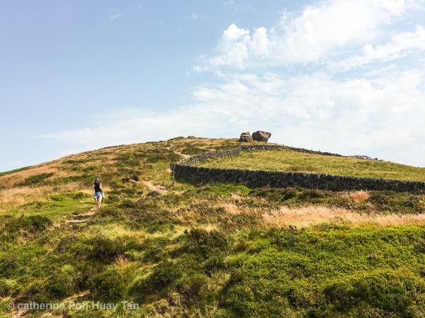 Fastest Ways To Get Rid Of Roaches In Apartments » GreenLife